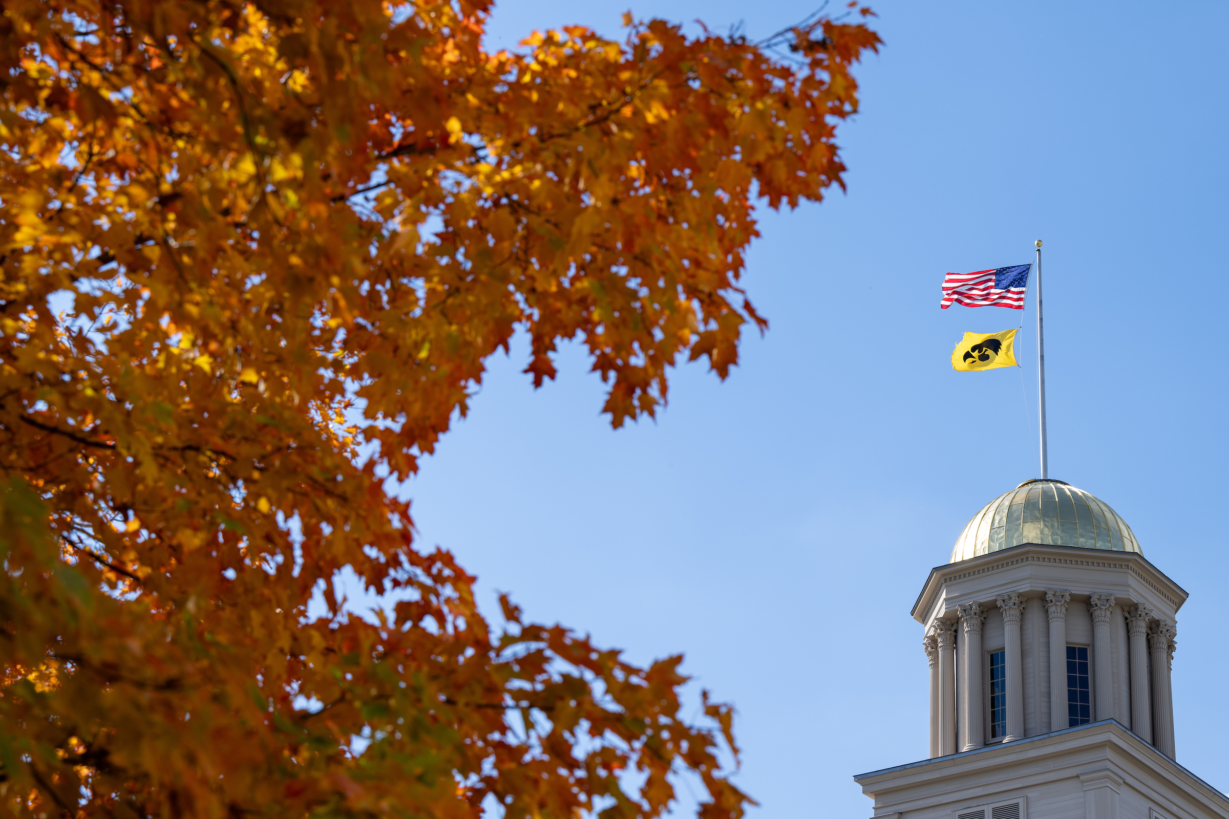 Iowa Now | The University of Iowa