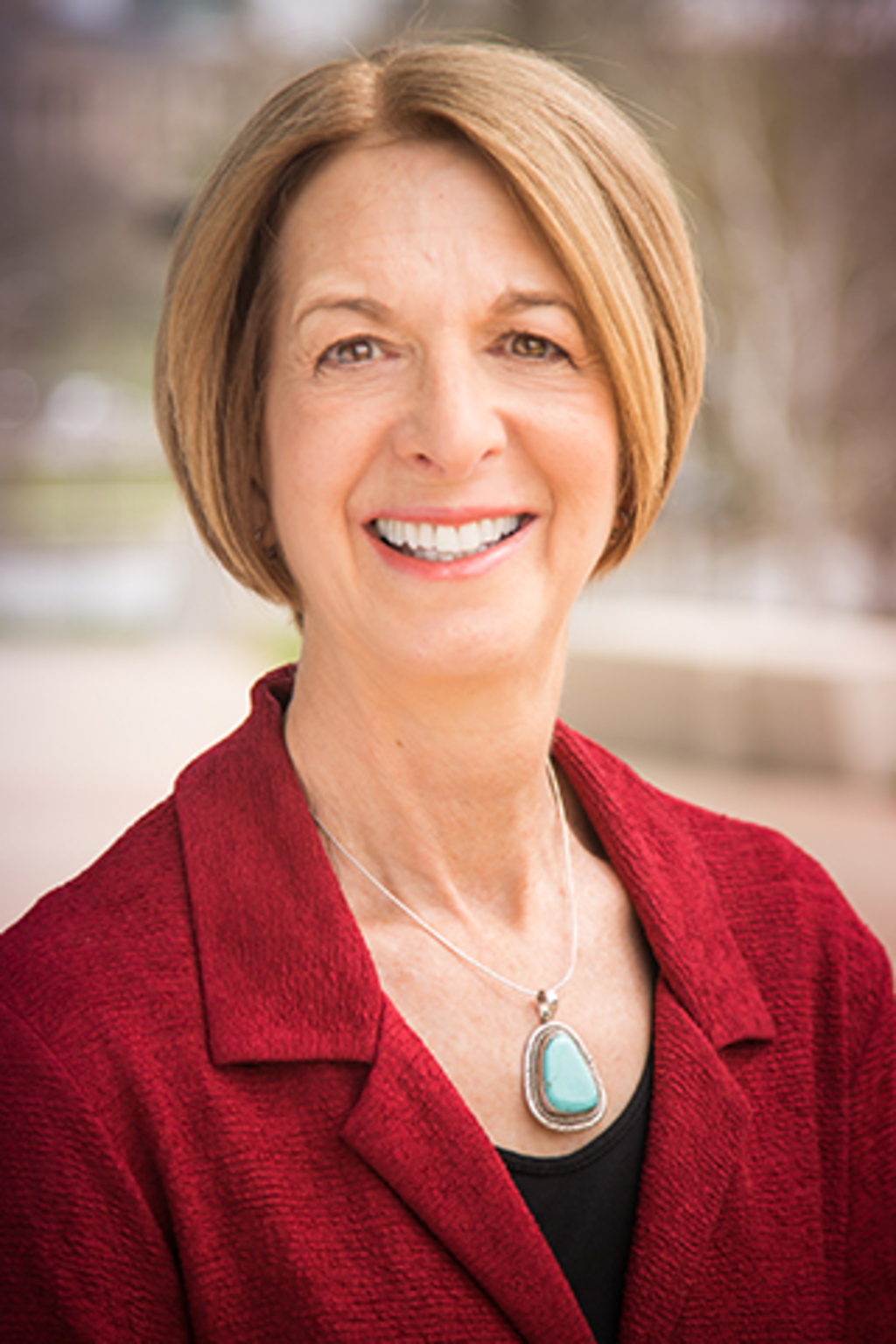 Sue Curry to assume NIH position, new role at UI | Iowa Now - The ...