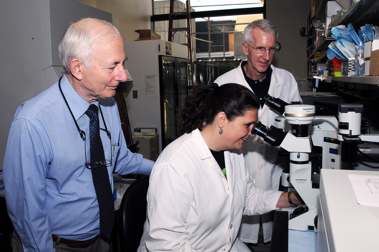 College of Dentistry lands $1.6 million federal grant | Iowa Now - The ...