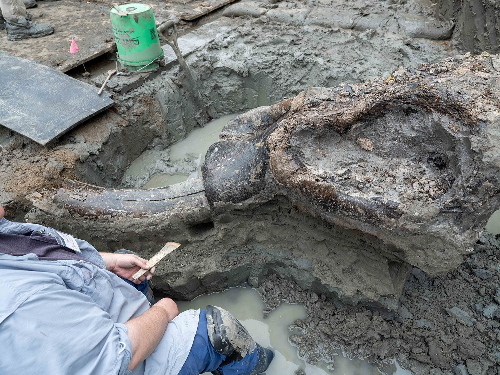 Unearthing mastodon bones in southern Iowa | Iowa Now - The University ...