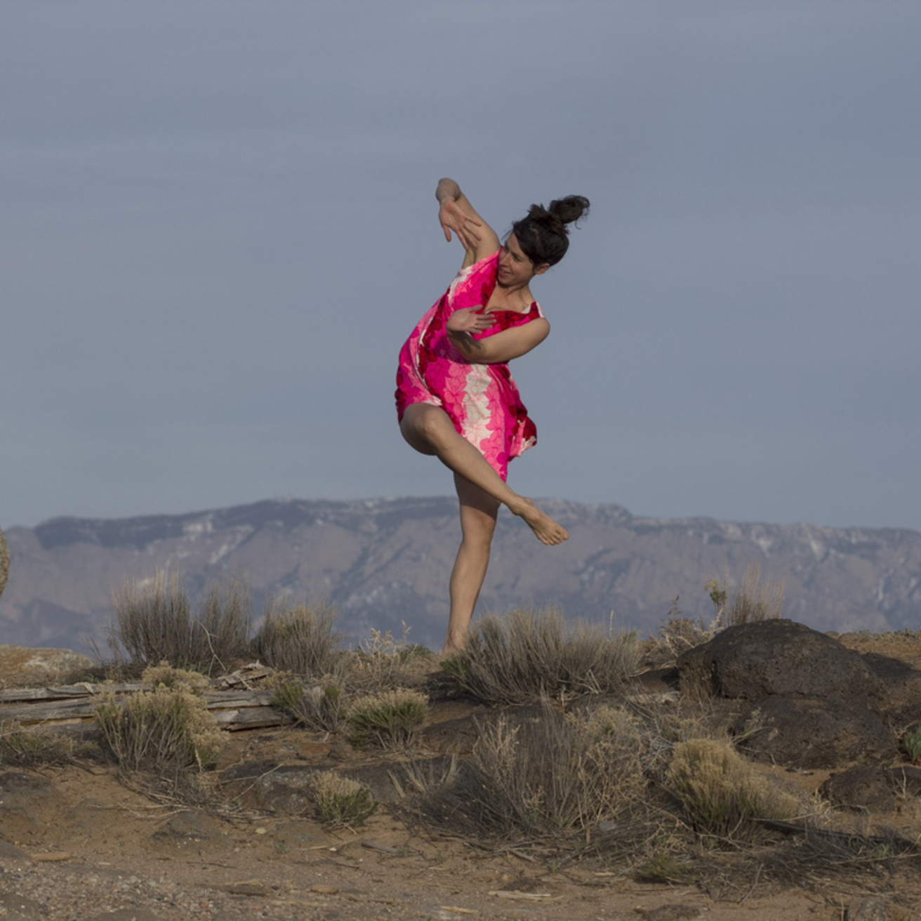 Stephanie Miracle | Iowa Now - The University of Iowa