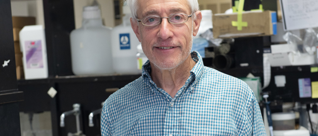 Scientists, media turn to Iowa's coronavirus expert | Iowa Now - The ...