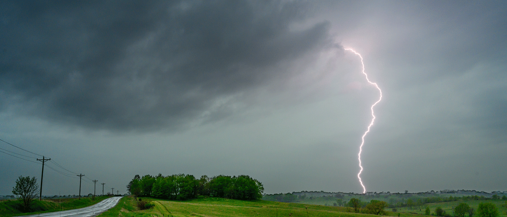 Spring rains: A surprising source of pollen | Iowa Now - The University ...