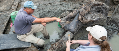 Unearthing mastodon bones in southern Iowa | Iowa Now - The University ...