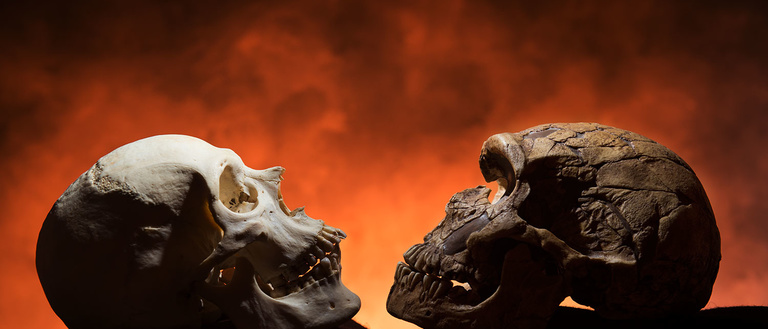 Why we have chins | Iowa Now - The University of Iowa