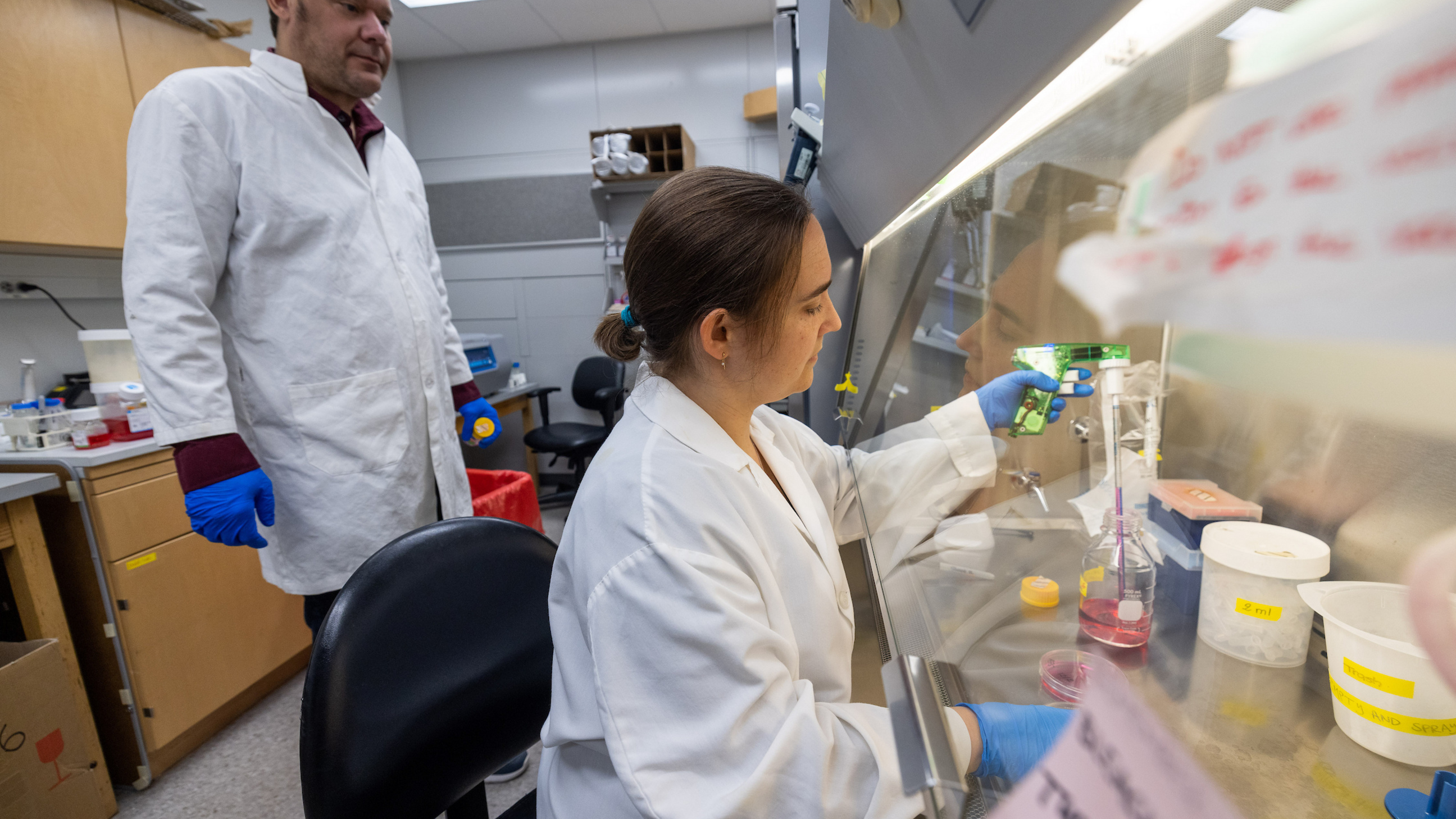 UI seeks permission to advance 4 facilities projects | Iowa Now - The ...